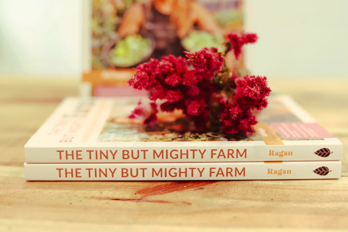 Our Story – The Whispering Willow Farm