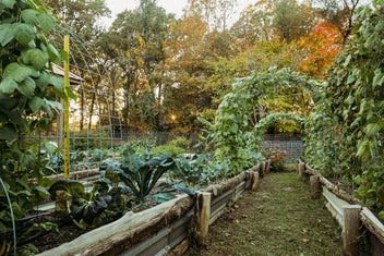Our Story – The Whispering Willow Farm