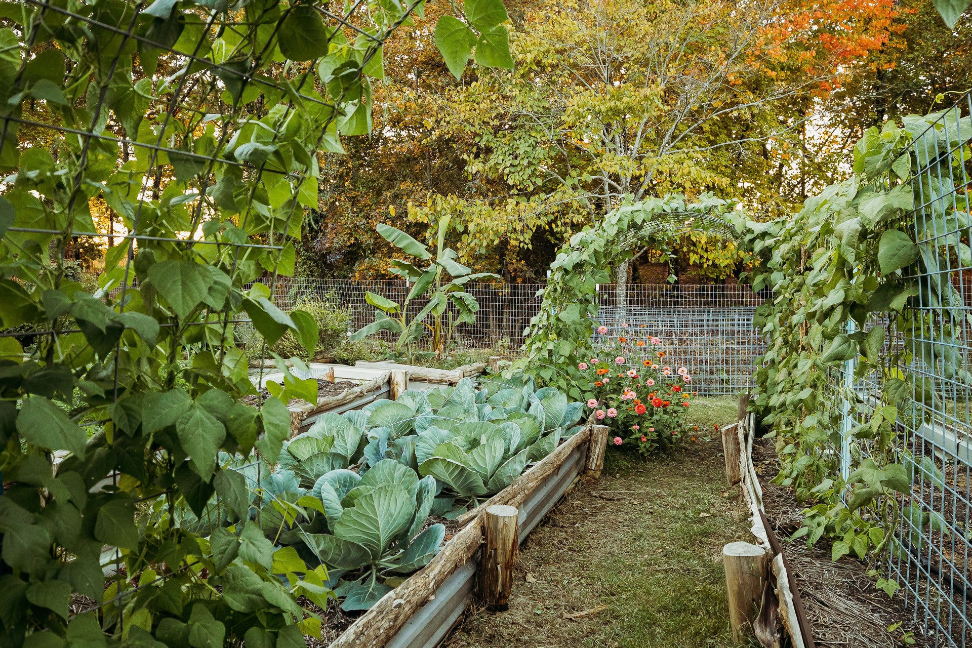 The Whispering Willow Farm