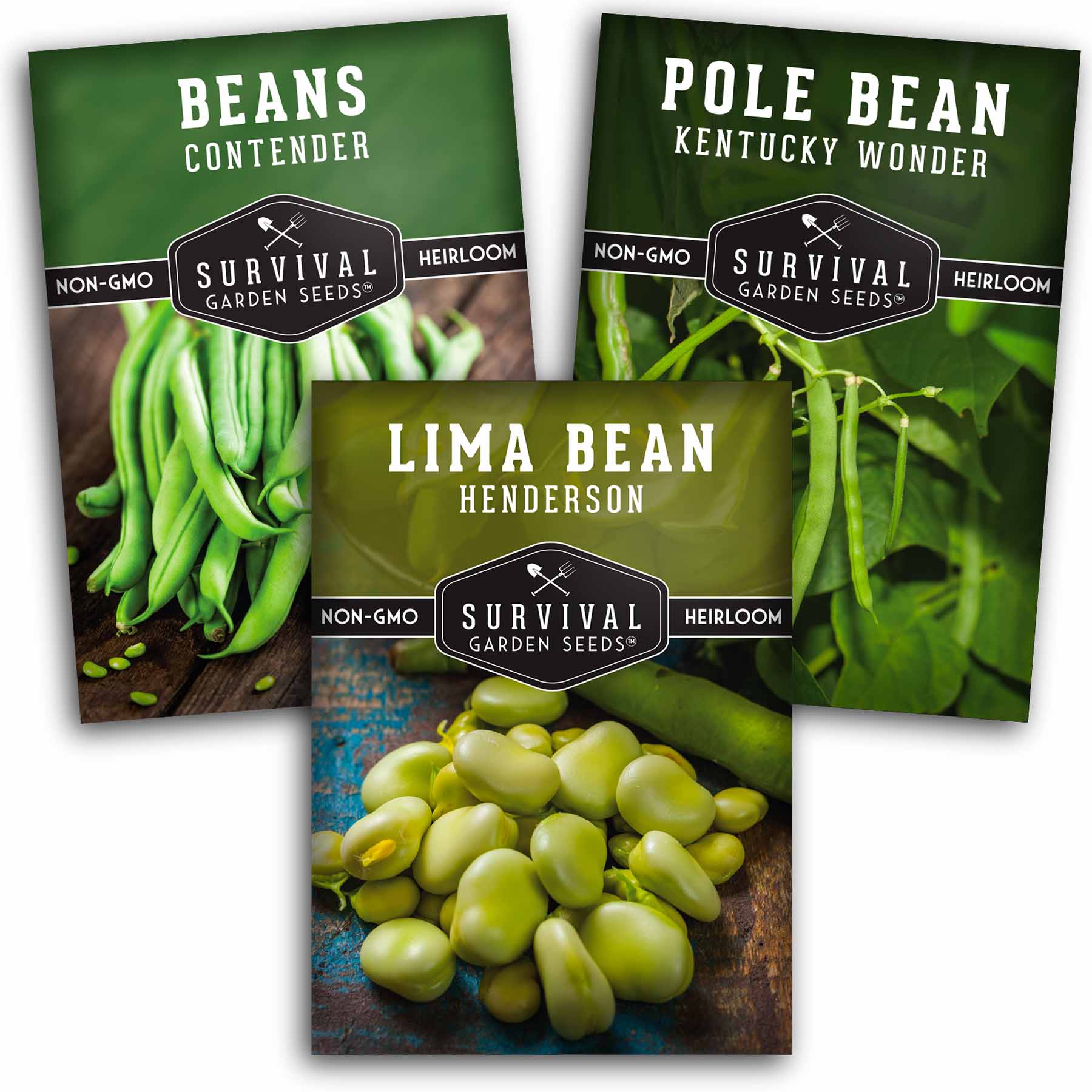 Bean Seed Collection - 3 Prolific Varieties – The Whispering Willow Farm