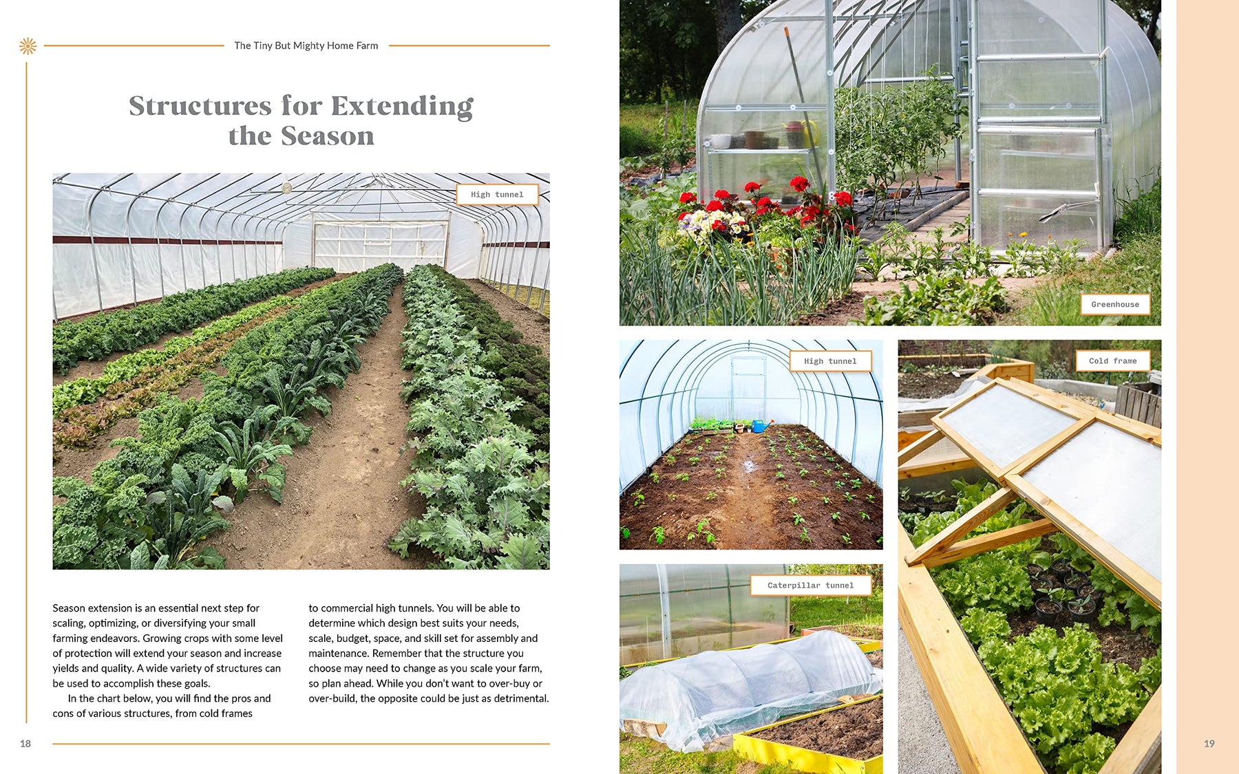 *Signed by Jill* The Tiny But Mighty Farm – The Whispering Willow Farm